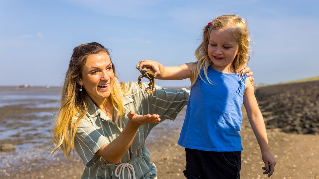 Butjadingen - Gefahren im Watt